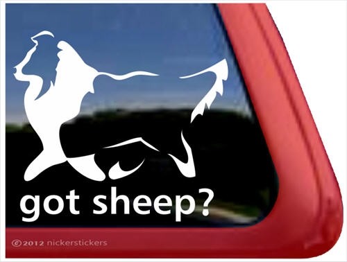 Got Sheep? |High Quality Vinyl Shetland Sheepdog Window Decal Sticker ...