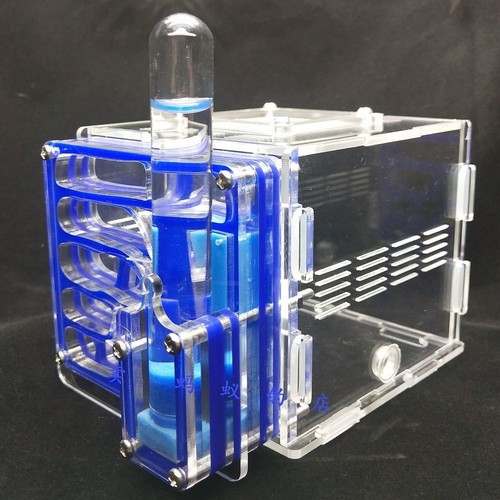 DIY Ant Farm Insect Ant Moisture Nest with Feeding Area Acrylic Big ...