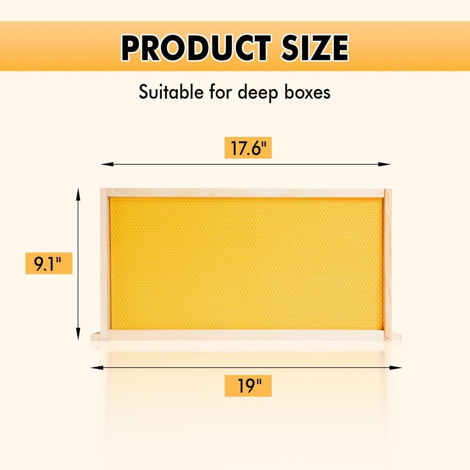 POLLIBEE Deep Brood Bee Hive Frames and Wax Foundations,10 Pack Honey ...