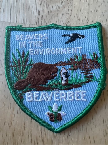 Vintage 1984 BSA Beavers In The Environment Beaverbee Patch | eBay