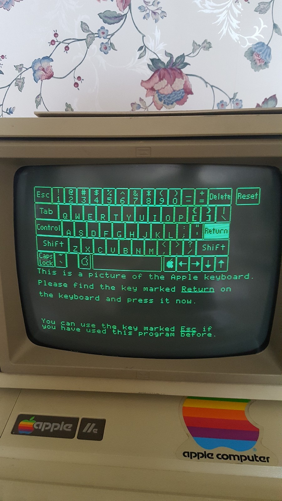 AMAZING Apple IIe Apple 2e Computer with Hardware and Lots of Software ...