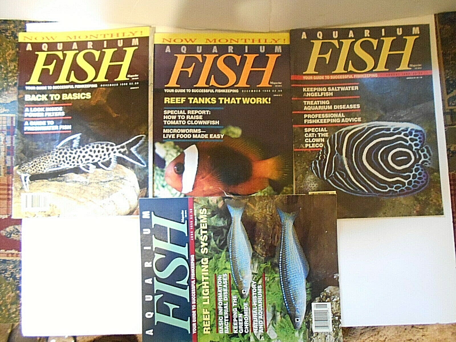 Lot / 12 Aquarium Fish Back Issue Magazines from 1989-91 | eBay