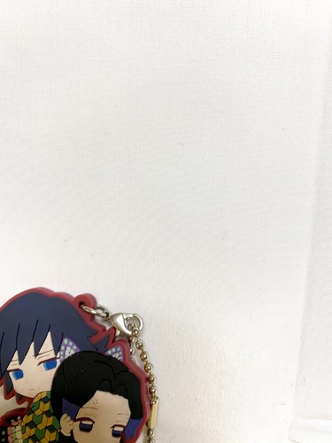 Tomioka Giyu Kocho Shinobu Demon Slayer Kimetsu no Yaiba Rubber ...