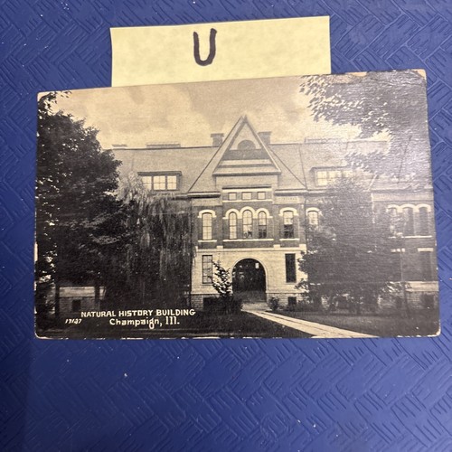 Champaign IL Illinois Natural History Building 1907 Antique Vintage ...