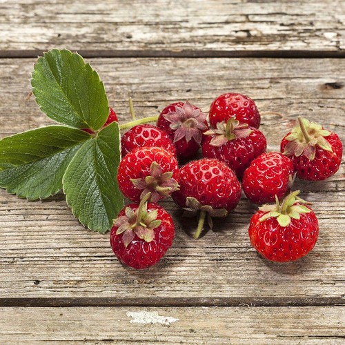 Fragaria ananassa 'Framberry' - Fraise framboise - Fraisier strasberry ...