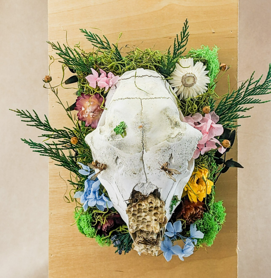 Real Sheep Skull w Wasp and Floral Taxidermy Oddities Curiosities ...