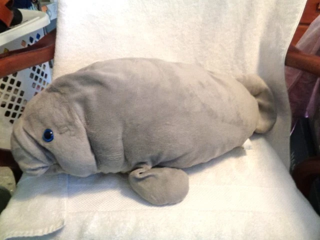 Fat Baby Manatee