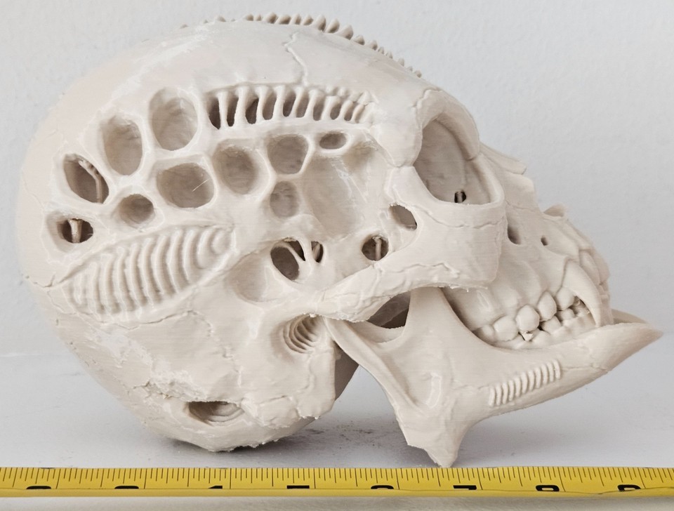 Xenomorph Alien Replica Highly Detailed Alien Skull Gamer Room Decor ...