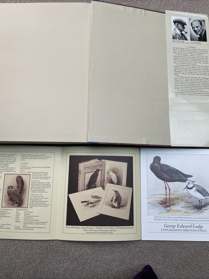 George Edward Lodge Unpublished Bird Paintings by C. A. Fleming ...