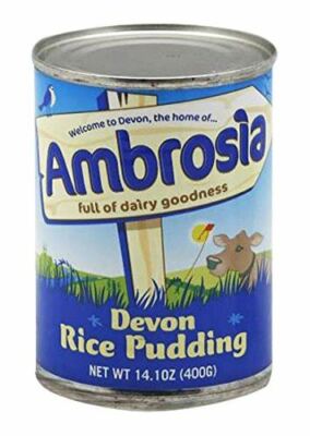 Ambrosia Devon Rice Pudding, 14.1-Ounce Can (Pack of 4) | eBay