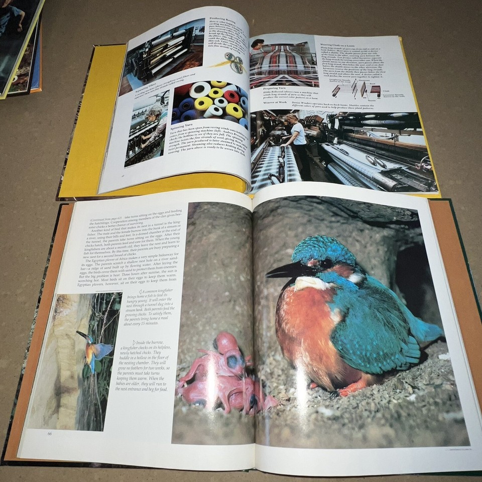 24 Books For Young Explorers National Geographic Society Kids Animals ...