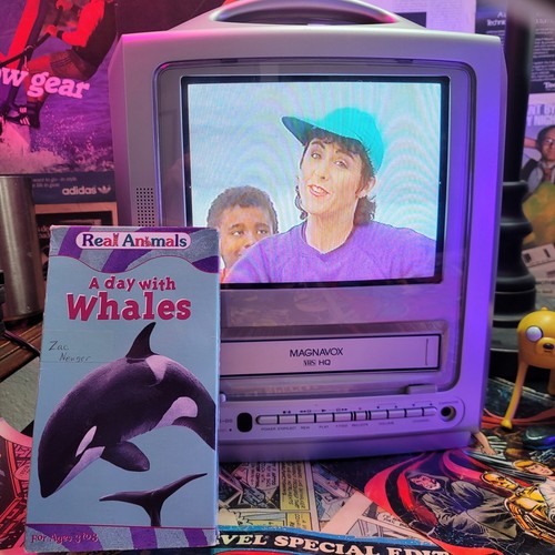 Real Animals A Day With Whales (VHS 1995) Kid Vision | eBay