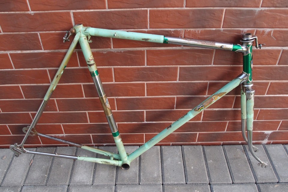frame set La Taureau Champion du Monde Tour The France 1950's Agrati ...