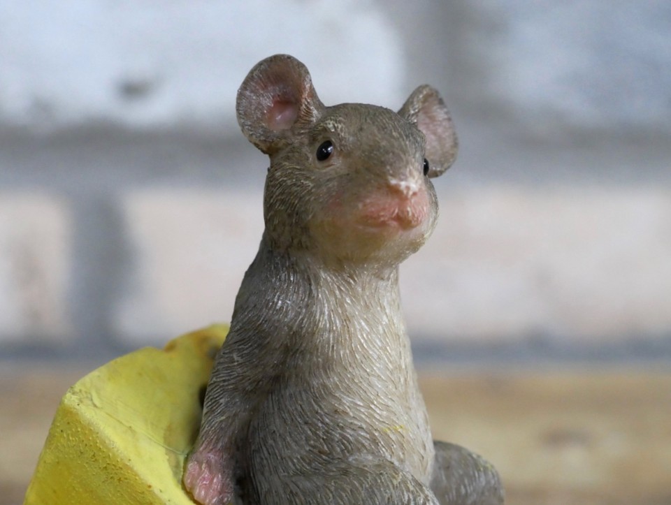 Quirky Resin Mouse sitting on Cheese Garden Ornament Statue Sculpture ...