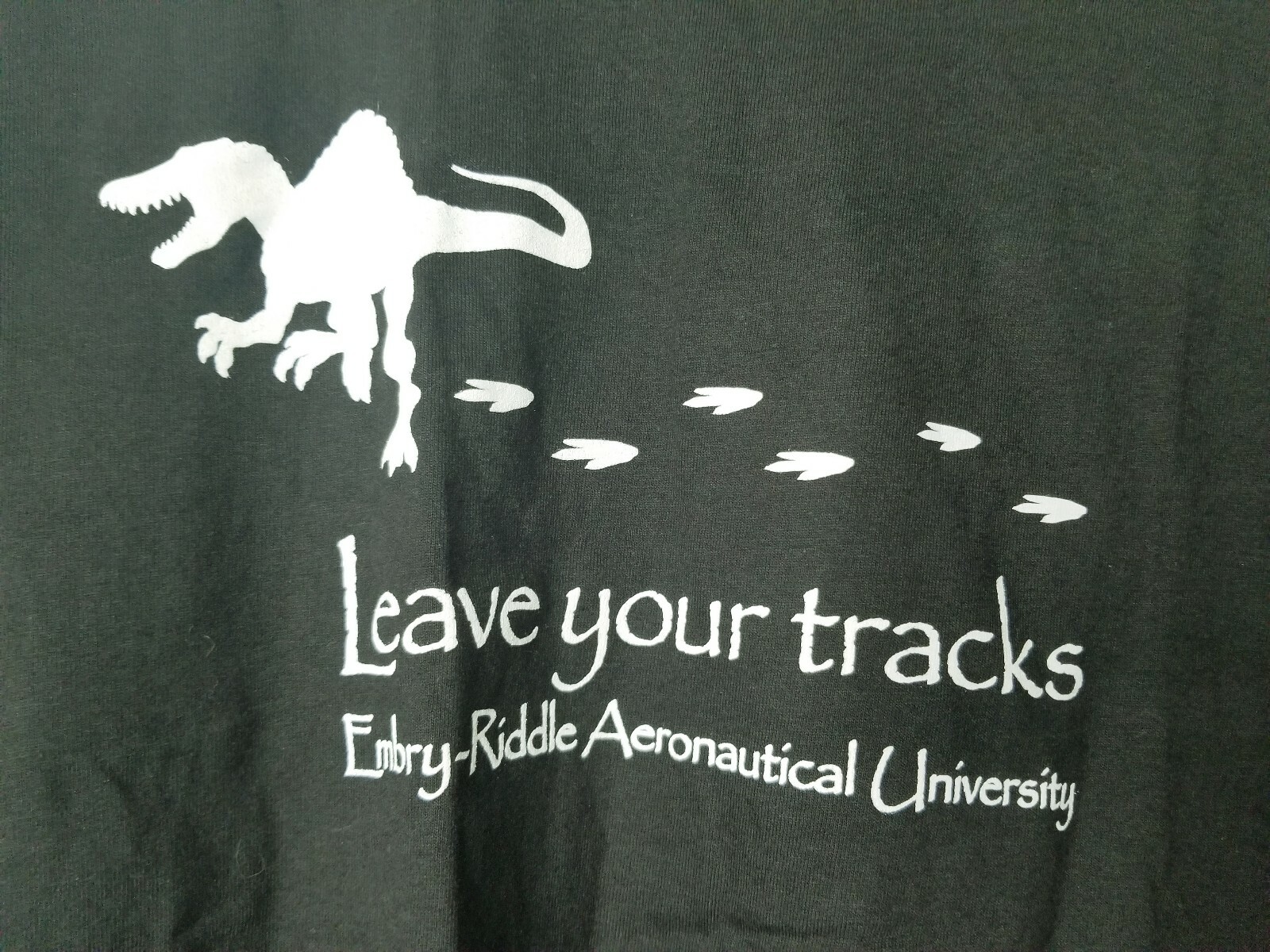 Mens M Embry Riddle Aeronautical University Dinosaur T-Shirt Global ...