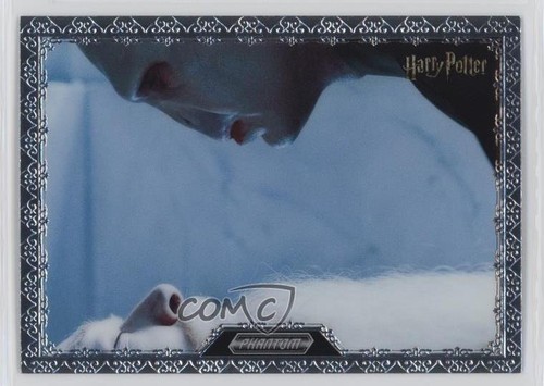 2024 Phantom Harry Potter Final Frames Albus Dumbledore Lord Voldemort ...