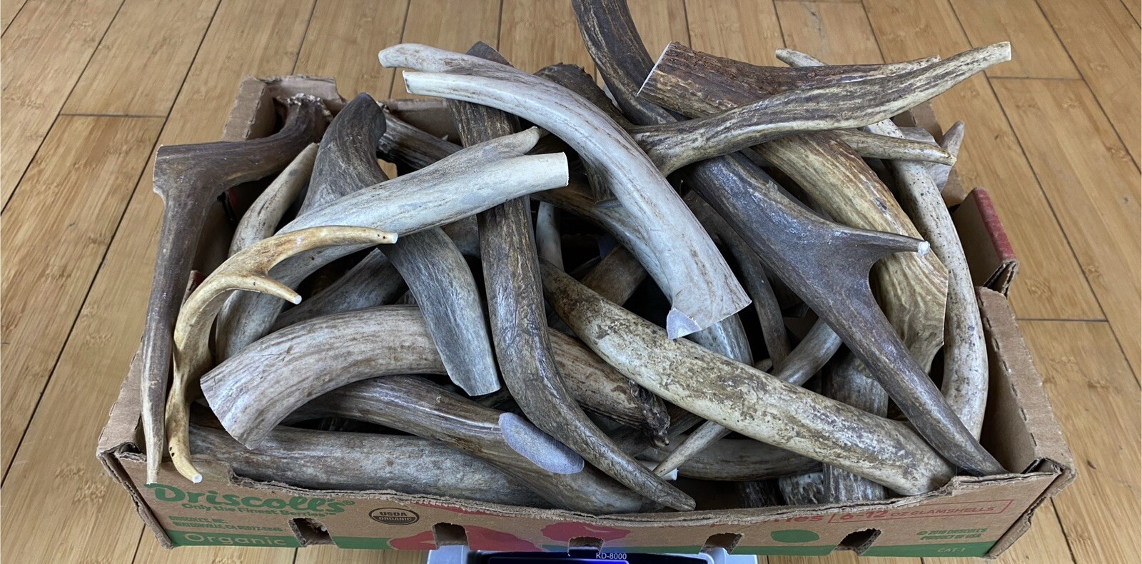 * Dog Chews * 1Lb Large Deer Antler Chews ~ All Natural, Organic HIGH ...