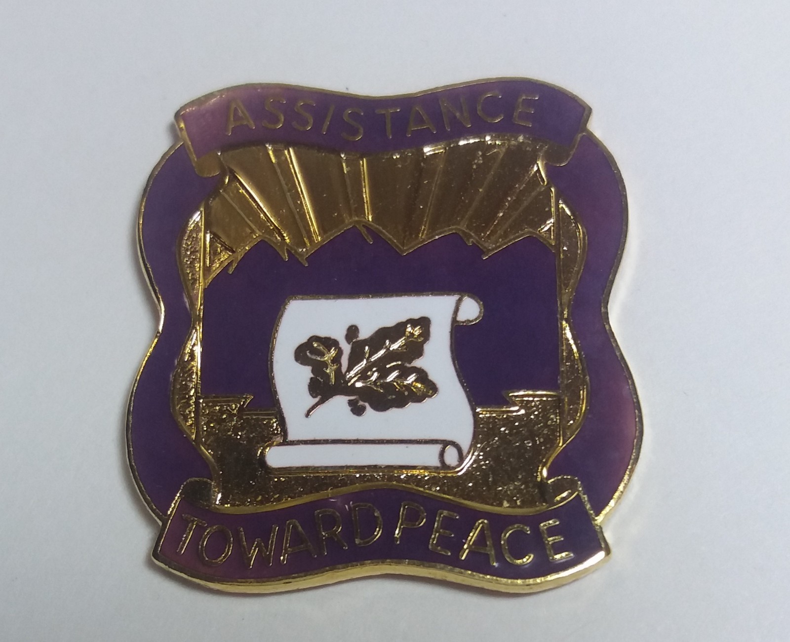 US Army NS MEYER 399th Civil Affairs Unit Crest DUI Assistance Toward ...