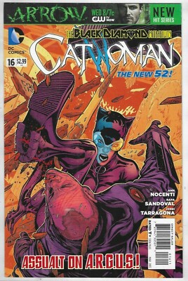 Catwoman Comic 16 First Print Cover A Rafa Sandoval 2013 Ann Nocenti ...