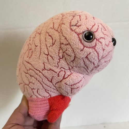 Giant Microbes by Drew Oliver BRAIN Plush Toy Doll Educational Stuffed ...