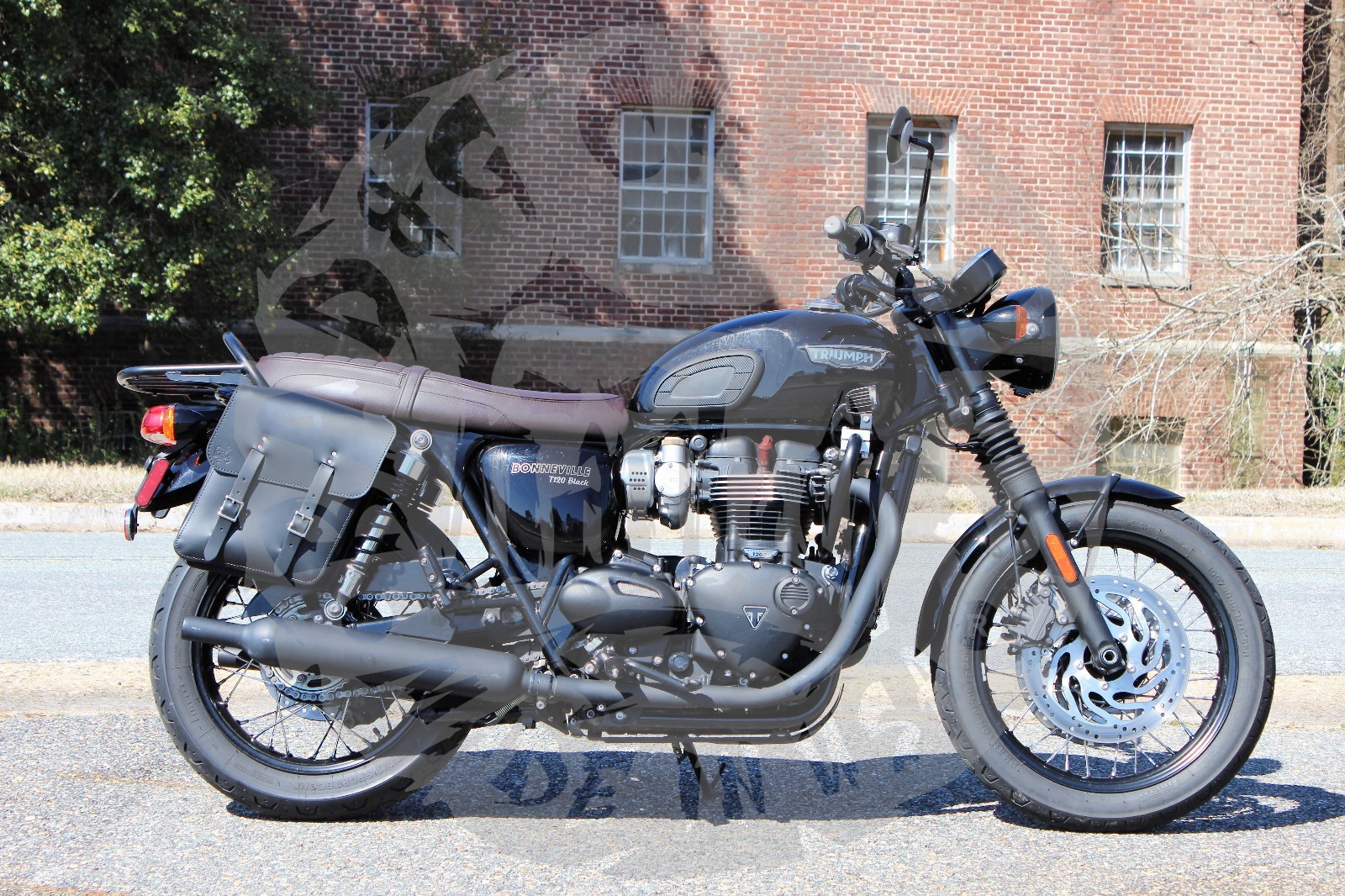 Triumph Bonneville T100 T120 RIGHT Side BLACK Solo BAG -TR01 BAD&G ...