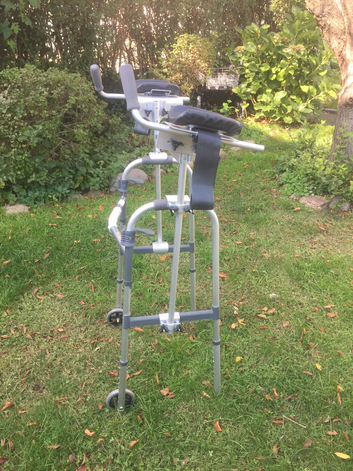 Platform Walker