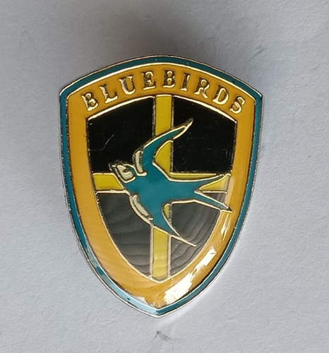 Cardiff City FC Football Enamel Lapel Pin Badge. PB7-1248 | eBay UK