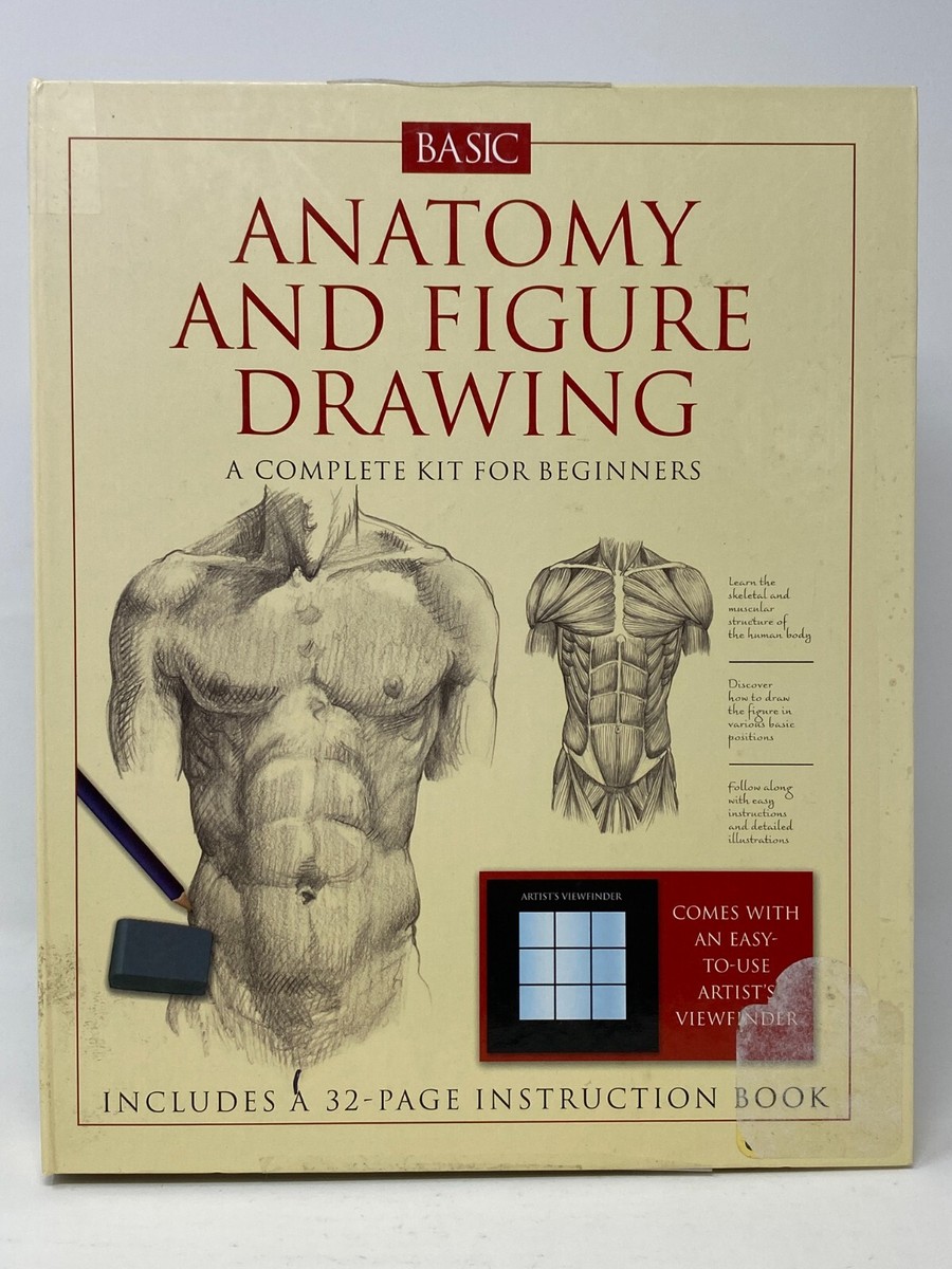 Anatomy Drawing For Beginners New Book: Basic Anatomy Every Artist