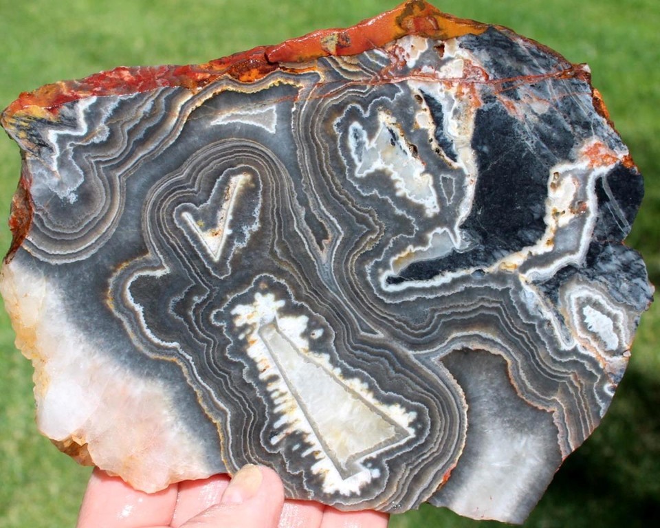 UNIQUE WYLOO AGATE SLAB 335 grams Mineral/jasper/rock/rough//crystal ...