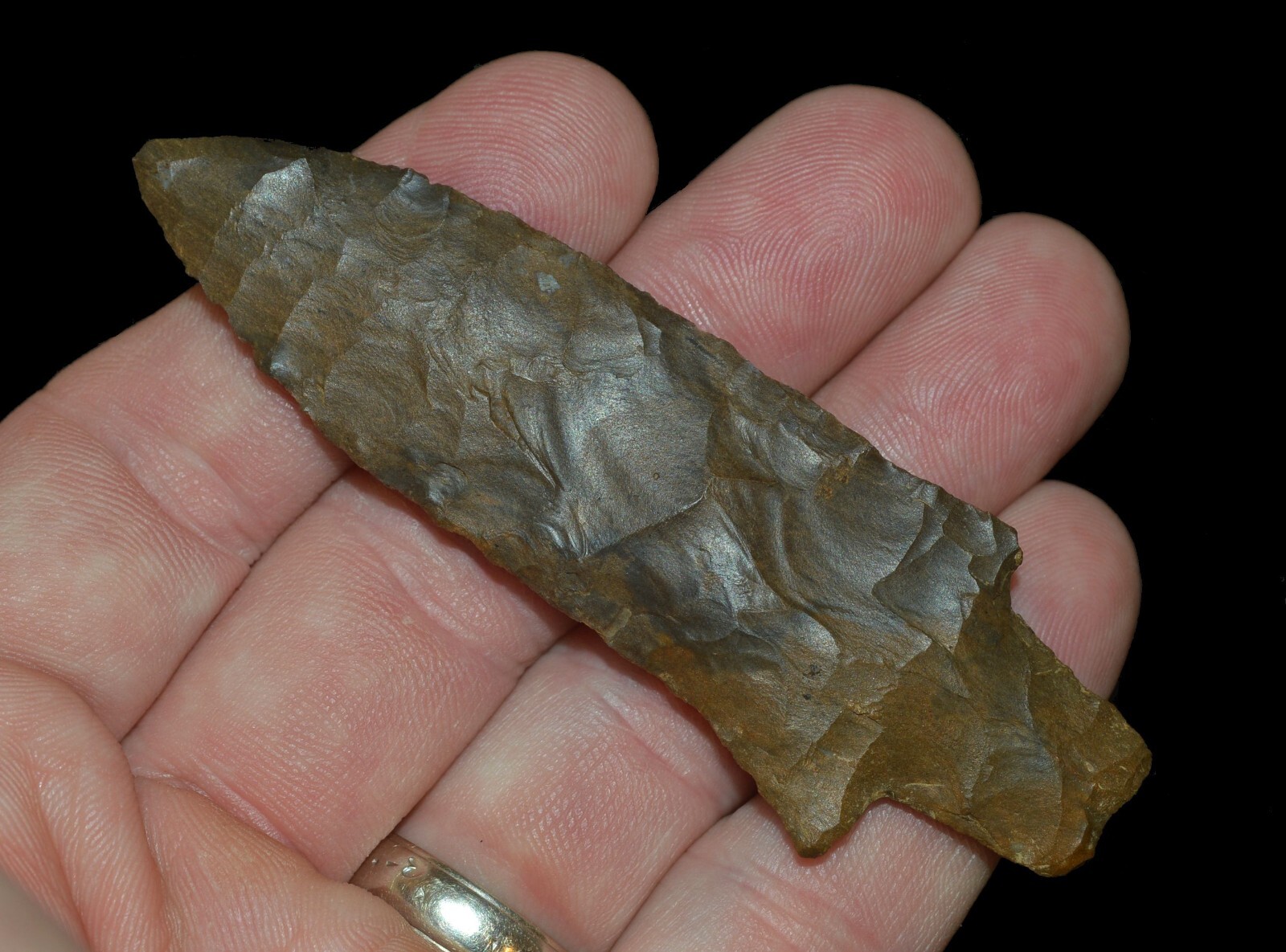 PICKWICK KENTUCKY AUTHENTIC INDIAN ARROWHEAD ARTIFACT COLLECTIBLE RELIC ...