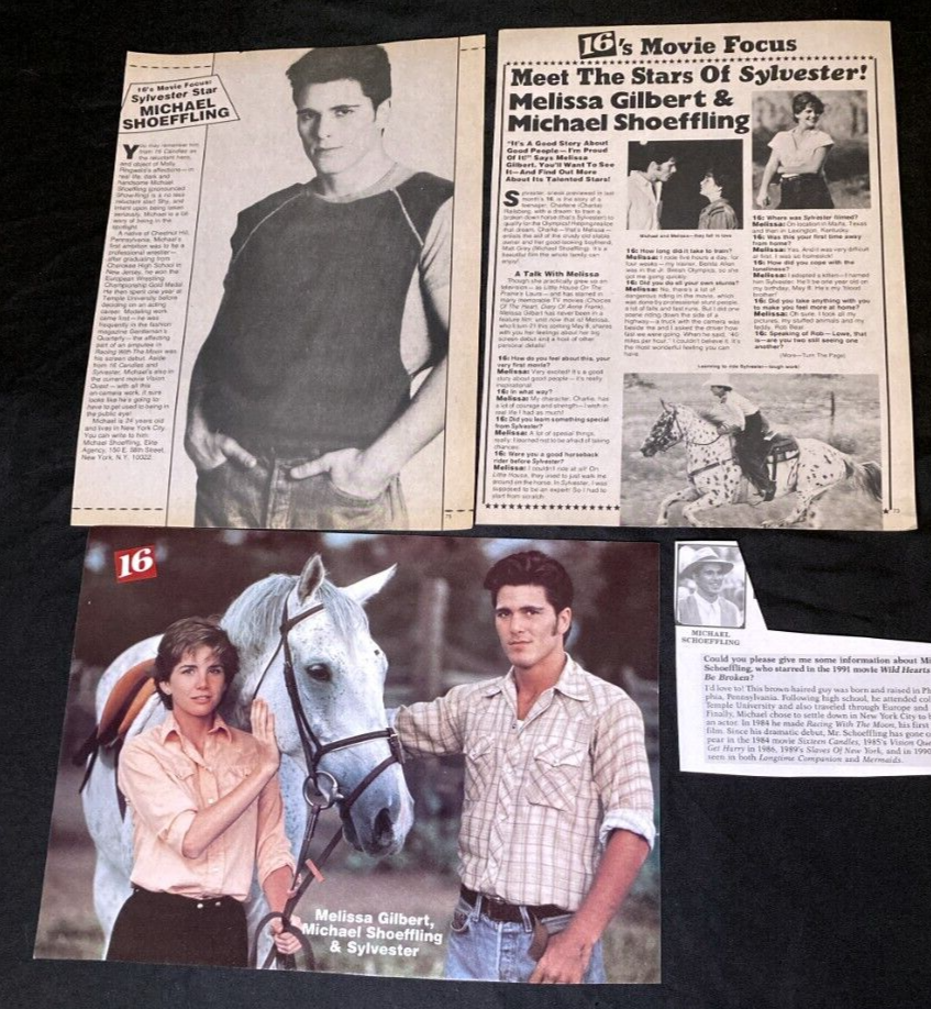 Michael Schoeffling, Imagen Actual