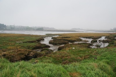 Photo A3 The Aln Estuary Hipsburn There is a path which runs alongside ...
