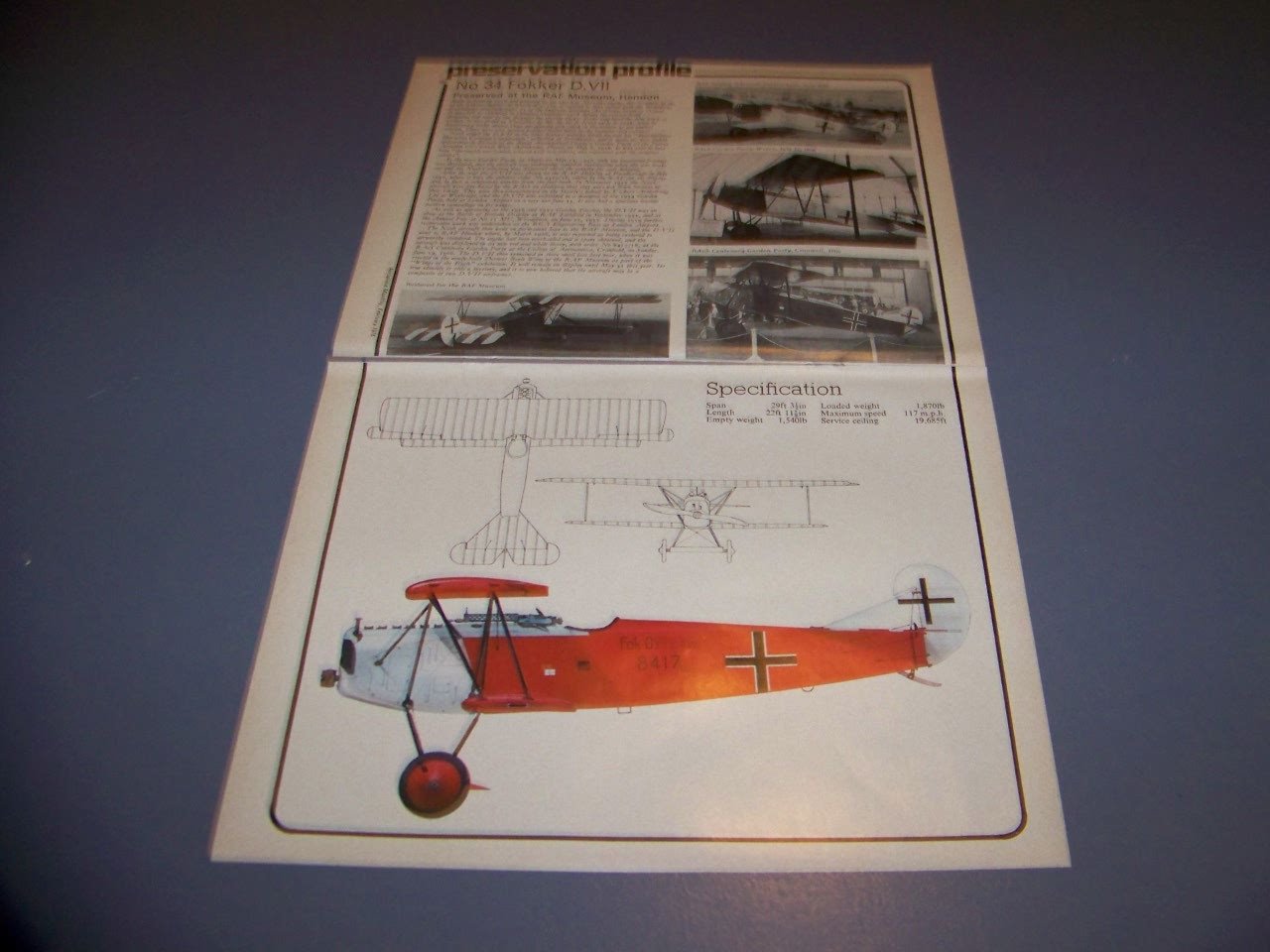 Fokker D Vii Colors