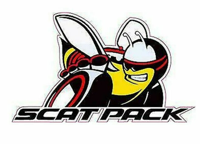 Scat Pack Sticker Vinyl Decal 4-176 | eBay