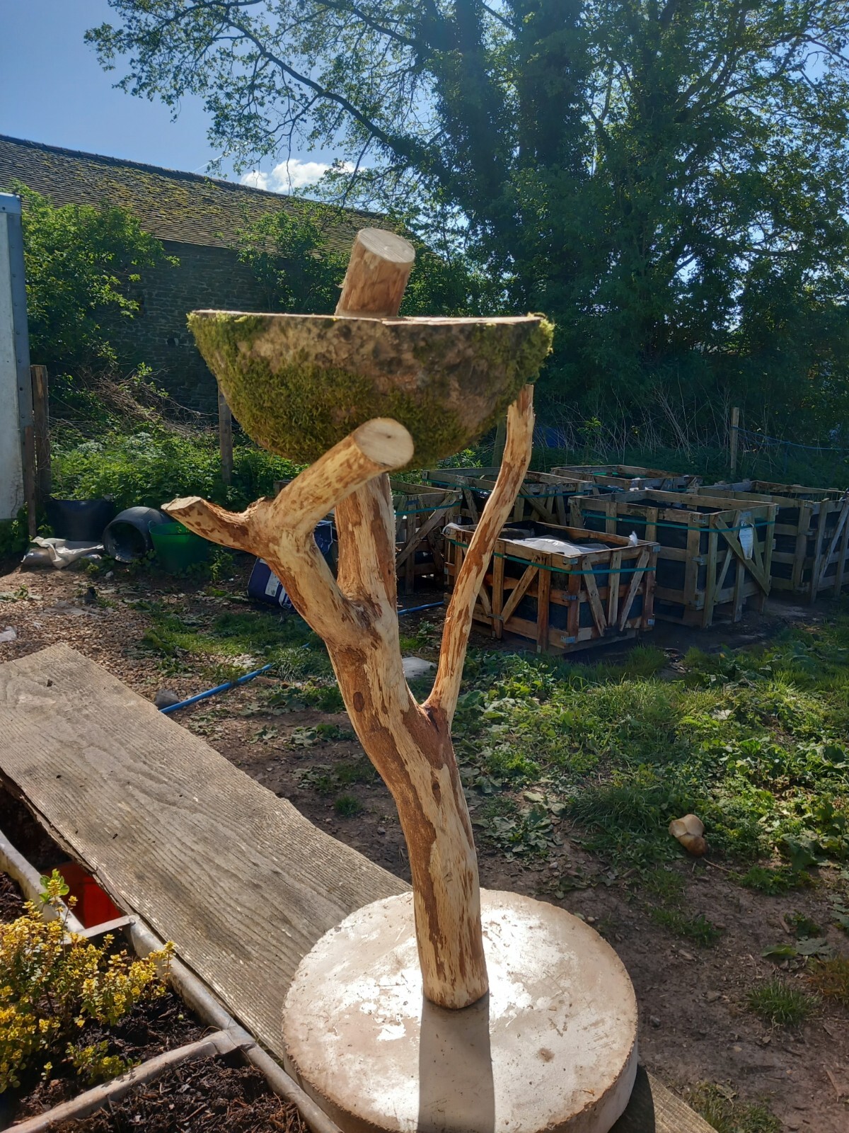 Unique wooden bird bath, no 2 are the same, made from responsible ...