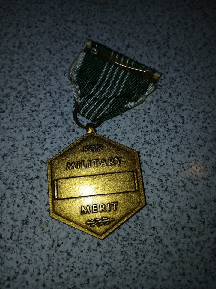 Vietnam War Army Military Merit Named Medal & Ribbons Complete War ...