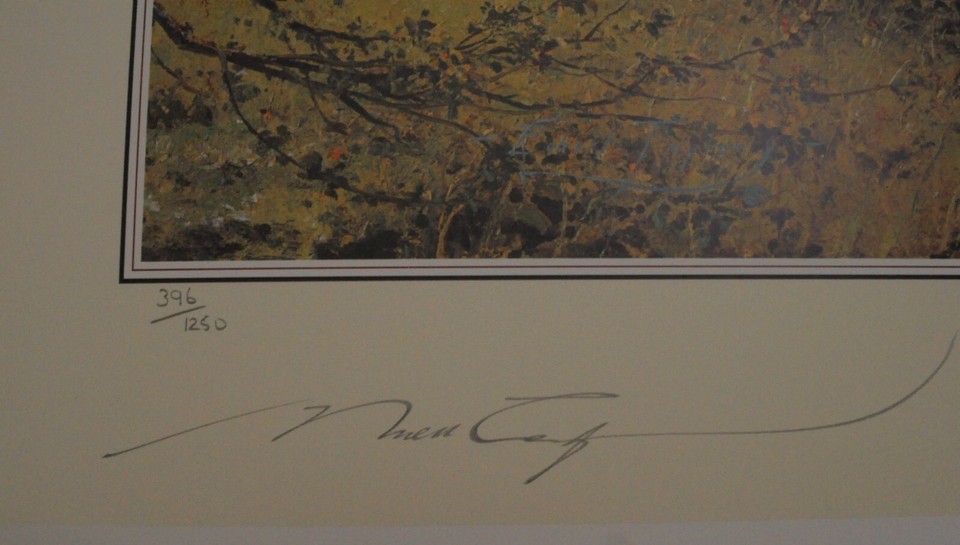 "HARTMANN TRIBUTE" by Robert Taylor 1 Pilot Signatures w/COA | eBay