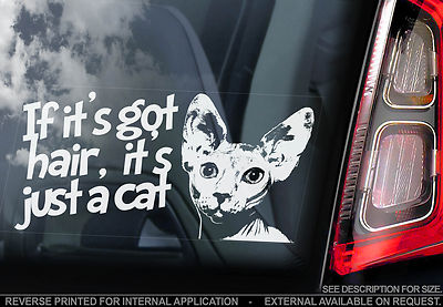 Sphynx - 'If it's got hair, it's just a Cat' - Car Window Sticker ...