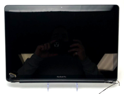 GENUINE MACBOOK PRO 15" A1286 2010 LCD SCREEN COMPLETE DISPLAY ASSEMBLY ...
