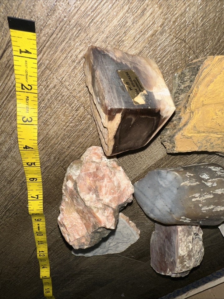 Lot Of Polished Geode Crystal Specimens Rock Fossils Pieces Chunks ...