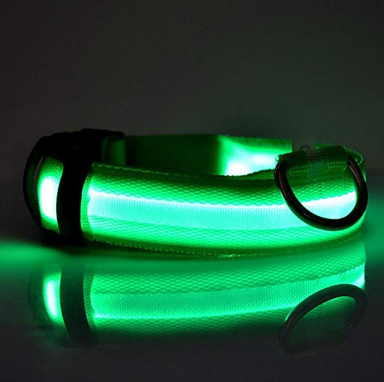 LED Dog Collar Blinking Night Flashing Light Up Glow Adjustable Pets ...