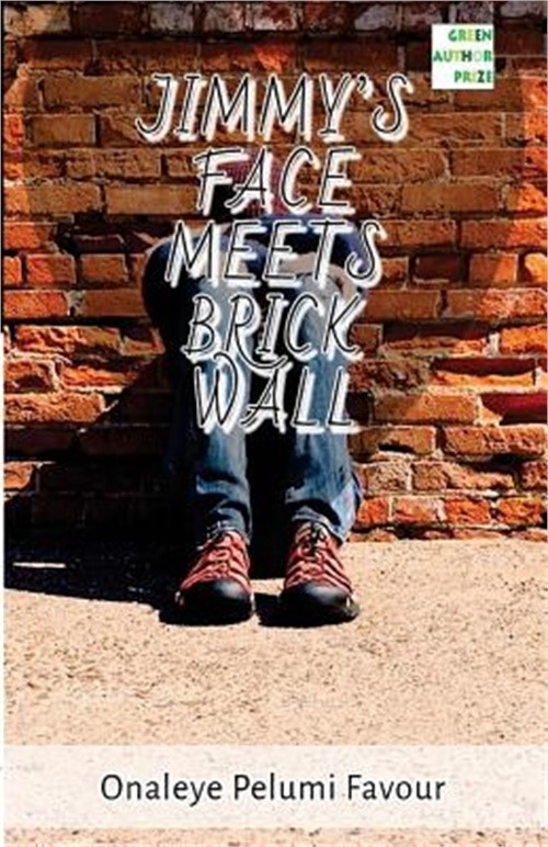 Jimmy's Face Meets Brick Wall: A story by Fapelo (Paperback or Softback ...