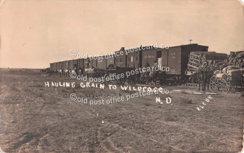 ND-Wildrose, North Dakota-Hauling Grain-Train-Railroad RPPC Real Photo ...