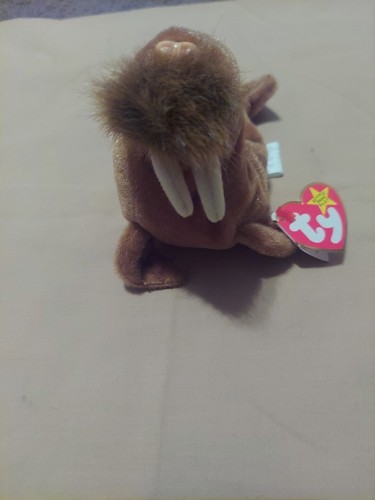 TY Beanie Baby - PAUL the Walrus (7 inch) | eBay