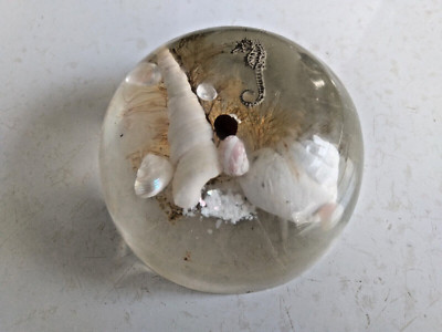 Vintage Resin/Lucite Tiny Creature Shells Taxidermy Dome Paper Weight ...