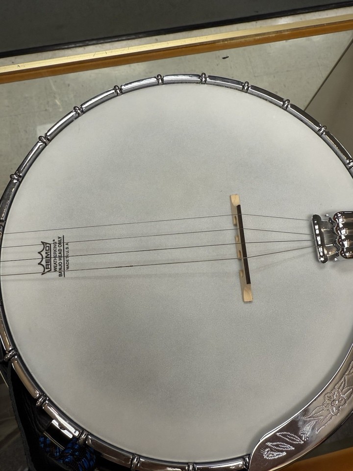 Johnson Banjo with Case | eBay