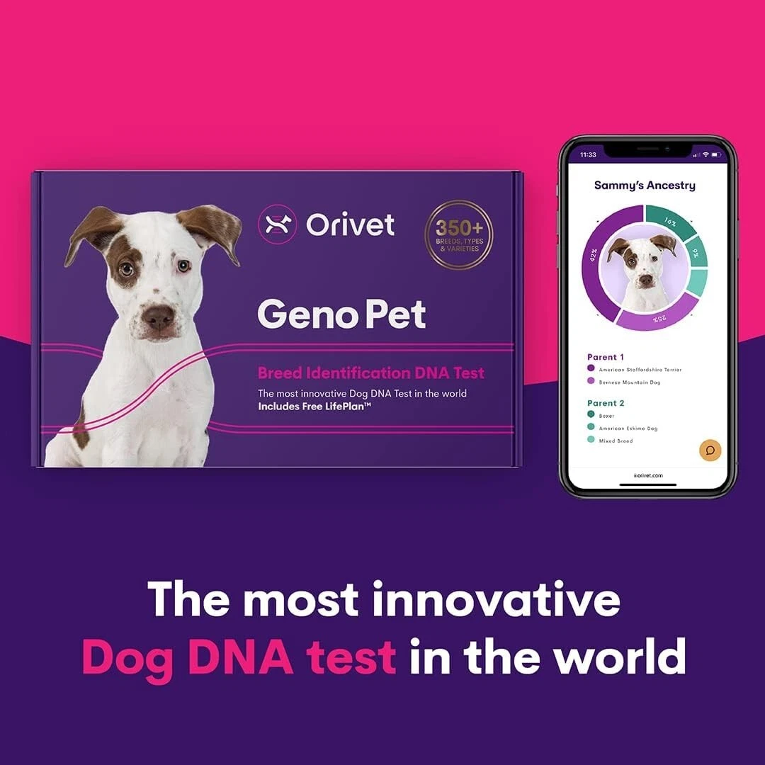 Mixed Breed Identification Test