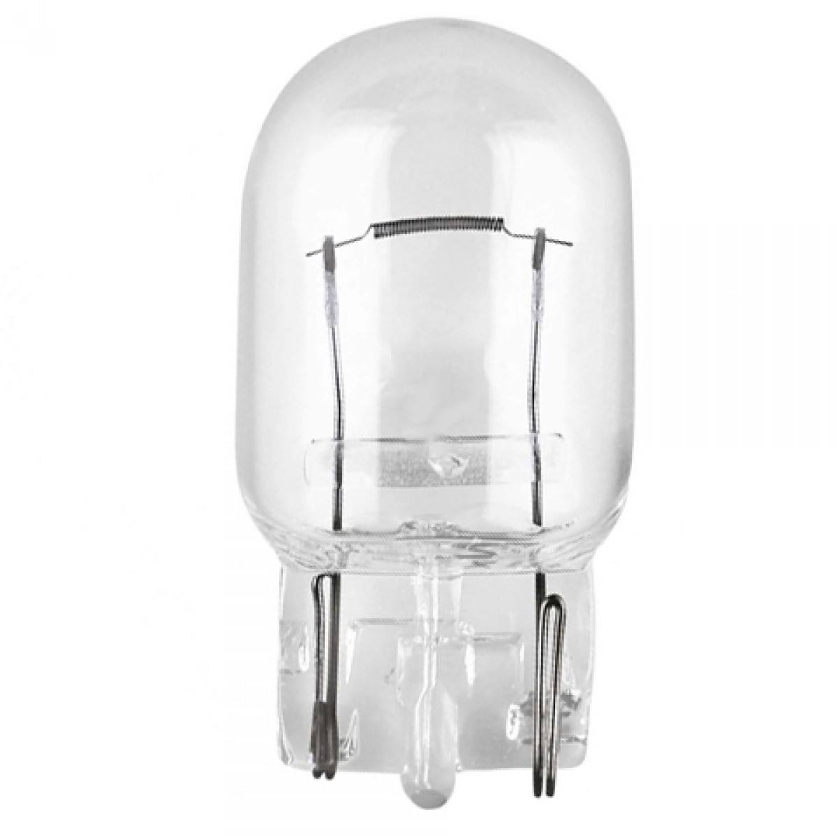 Limastar Halogen T20 12V 21W Single Filament Bulb Globe E4 Quality 10pc ...