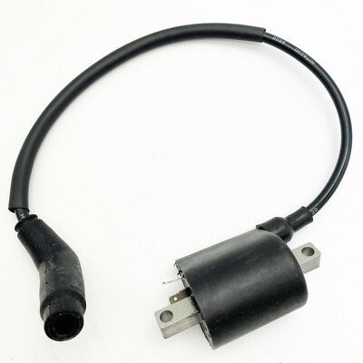 Ignition Coil Fits Linhai 260cc 300cc 400cc 500cc 520cc 550cc 22012 EFI ...