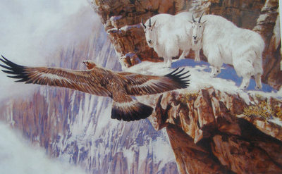 Mountain Goats of Cliff with Hawk flying | eBay
